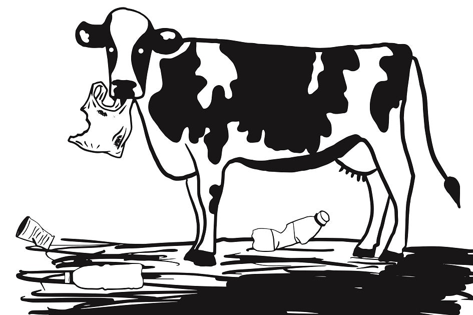 Plazing ( Eating Plastics) | handmadehappinessnepal